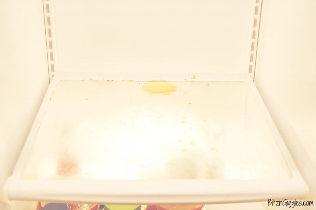 Simple Steps to a Clean Refrigerator - Bitz & Giggles