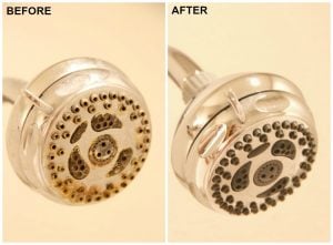 How to Clean a Shower Head - Bitz & Giggles