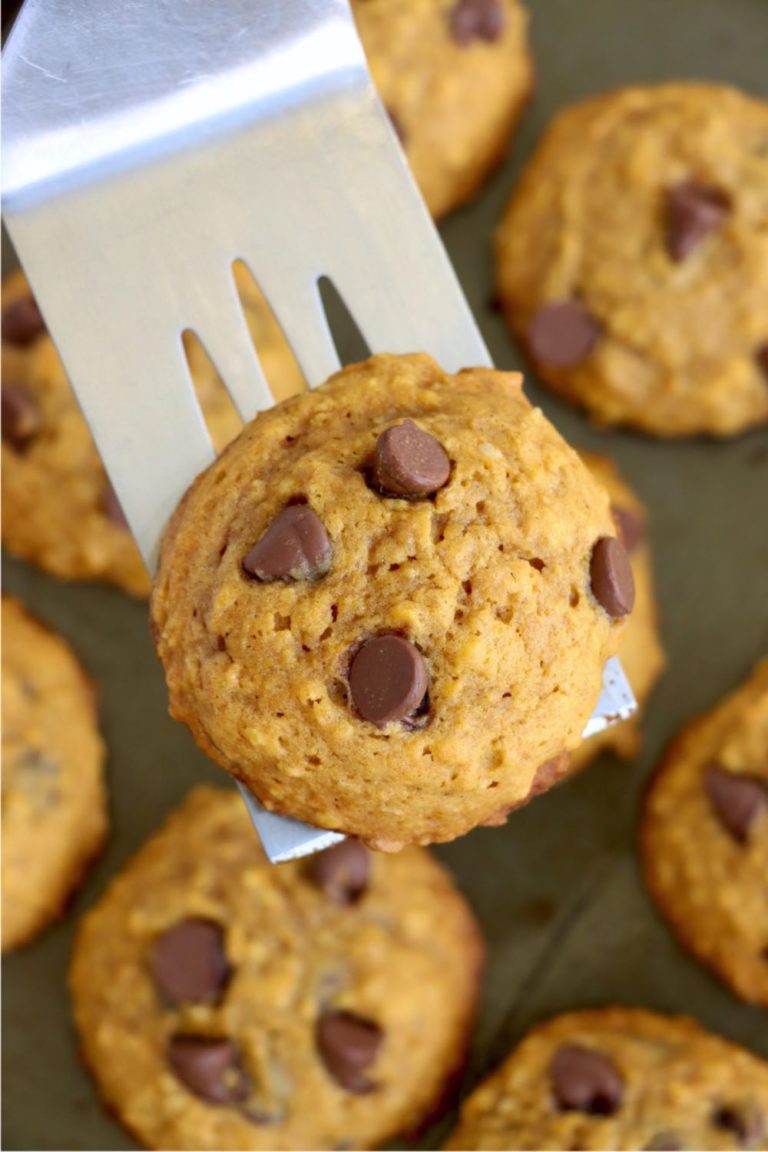 Pumpkin Chocolate Chip Cookies - Bitz & Giggles